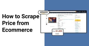 How To Scrape Prices From Ecommerce Websites: With 6 Easy Steps